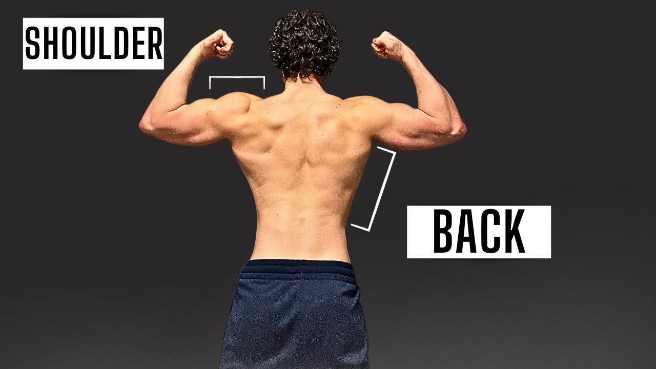 INSANE Shoulder & Back Workout (WORKS FAST) - YouTube