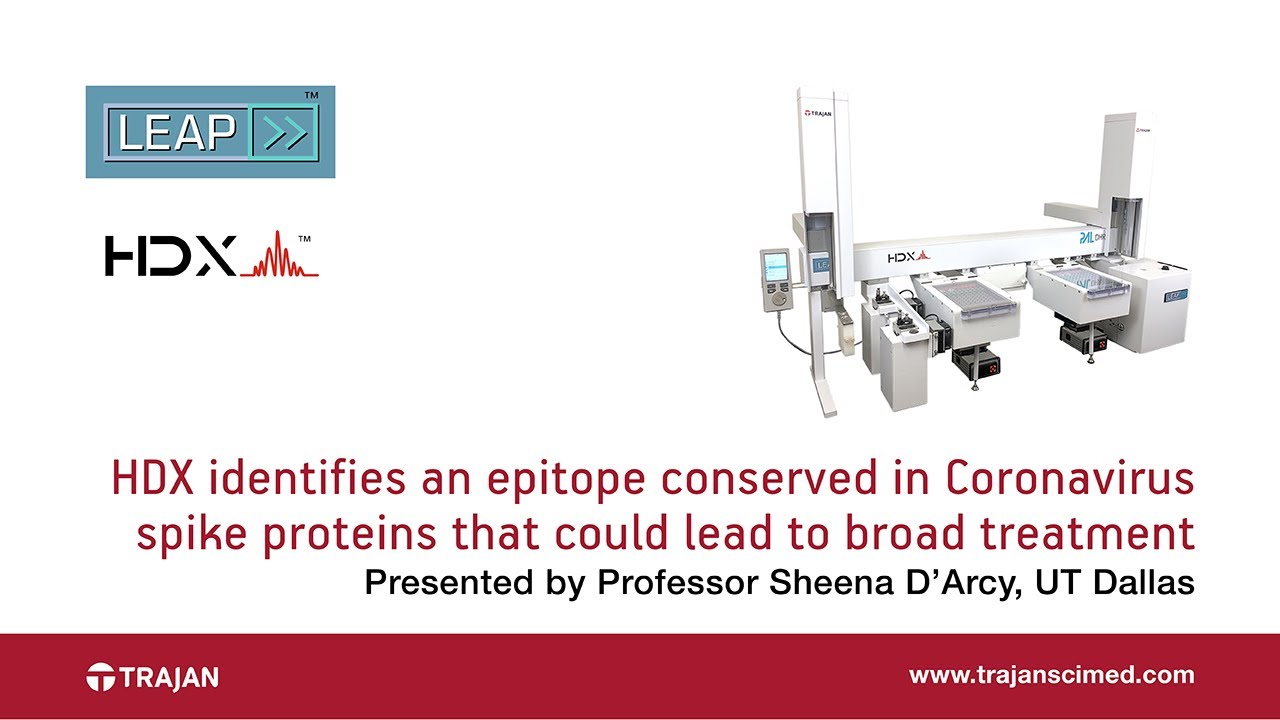 HDX identifies an epitope conserved in Coronavirus spike proteins that ...