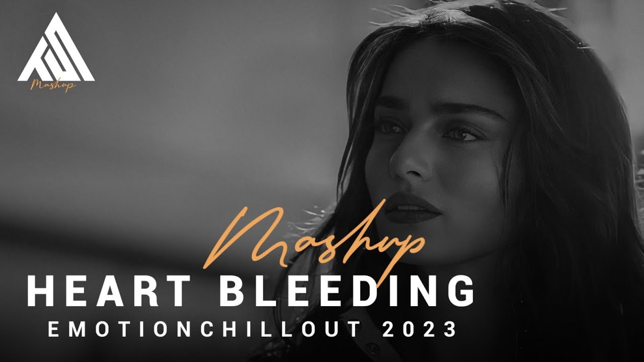 Heart Bleeding Mashup | Emotionchillout Mashup Song 2024 | Technical Sohel | Viral Mashup Song ...
