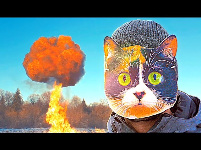Cat Walking Away From Explosion