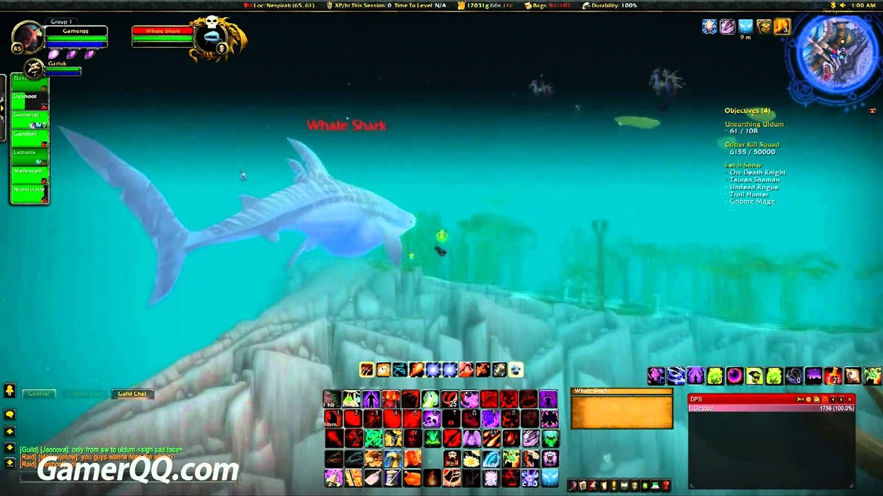 WoW Hilarious Whale Shark Cataclysm Raid Warlock POV - YouTube