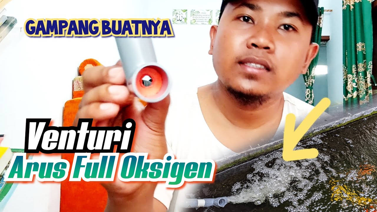 🔴 DIY Membuat Venturi Kolam Koi Anti GAGAL - YouTube