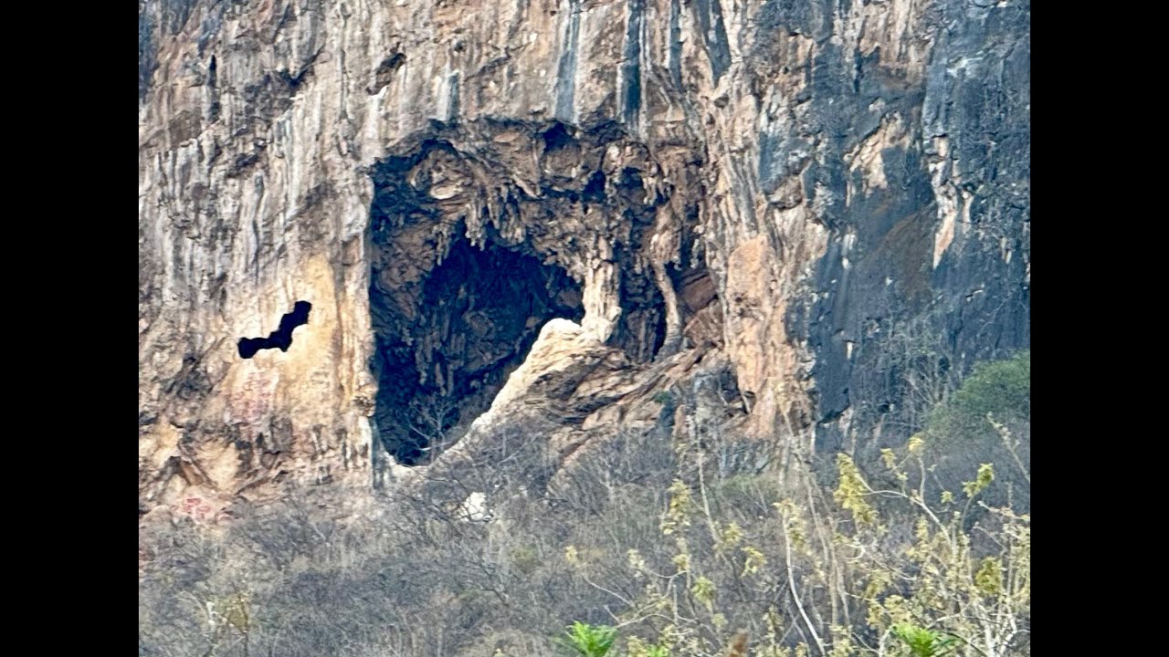 CUEVA DE OXTOTILÁN, GRO., MPIO. DE TELOLOAPAN. 30 marzo 2024. - YouTube