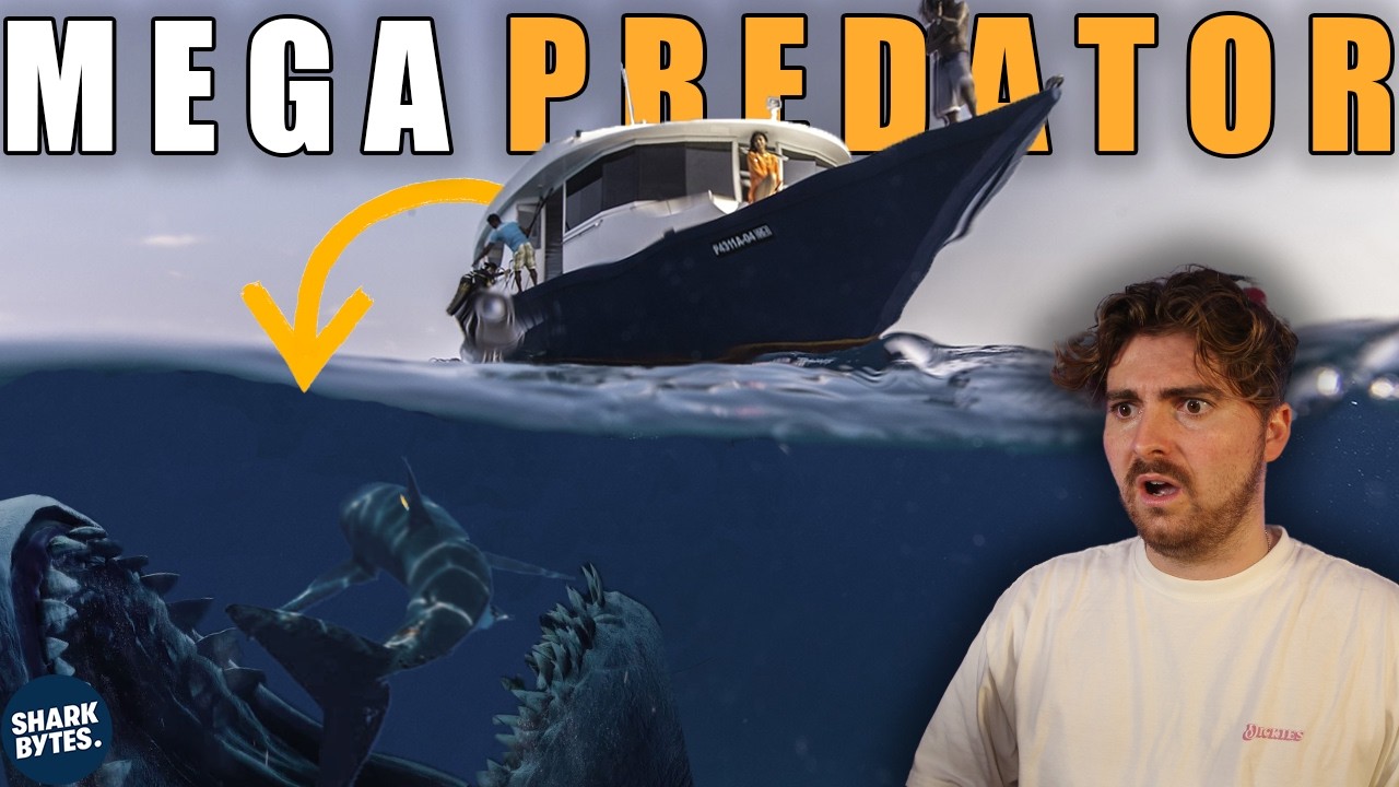 Bermuda Triangle SHARK Mystery Solved! - YouTube