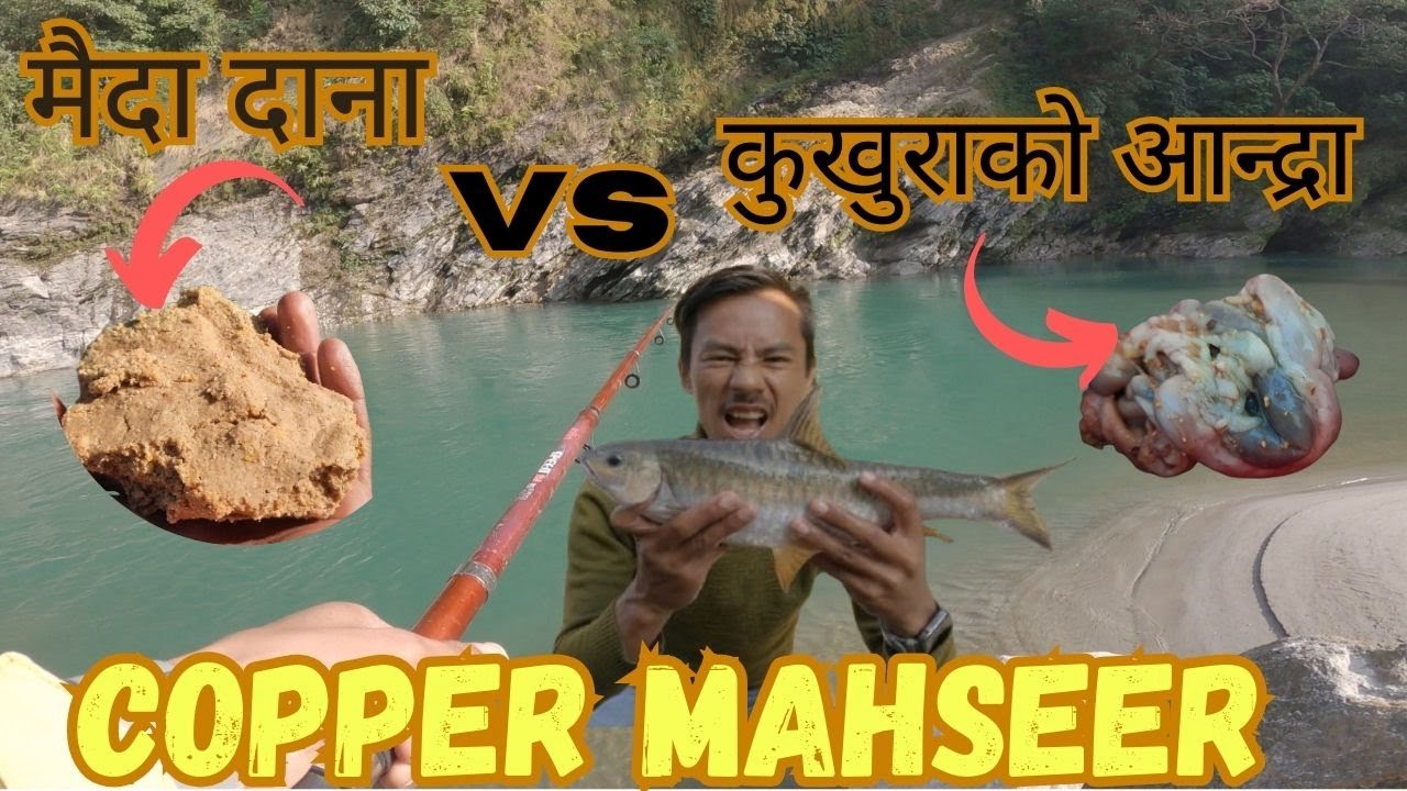 COPPER MAHSEER FISHING ||LAMJUNG||#FISHINGWITHSMG - YouTube