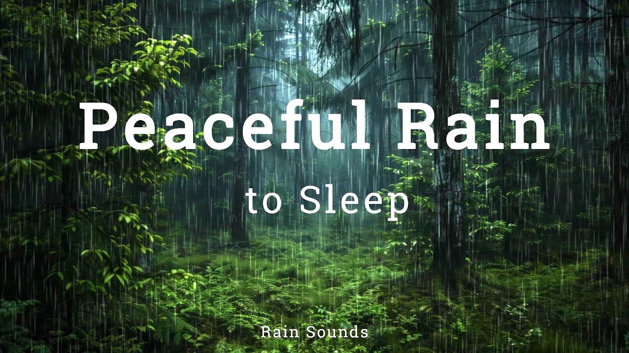 Calming Noise of Gentle Rain for Relaxation and Calming Stress. Night ...