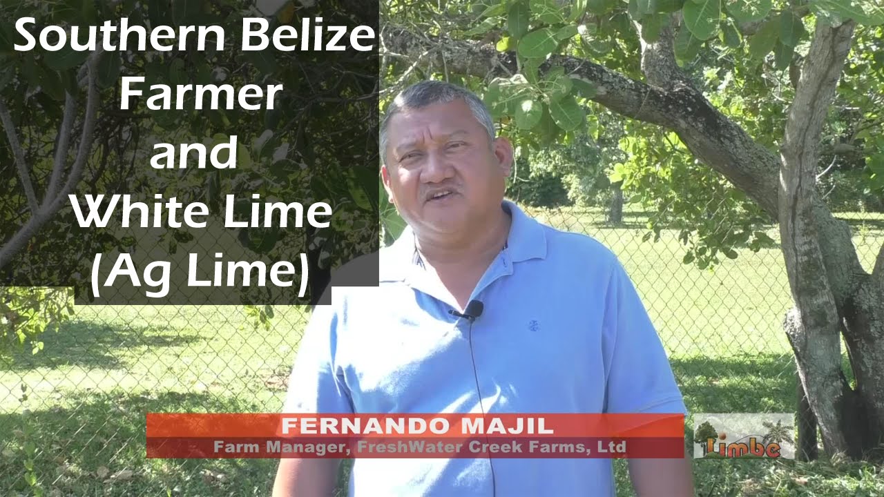 Southern Belize Farmer and White Lime (Ag Lime) - YouTube