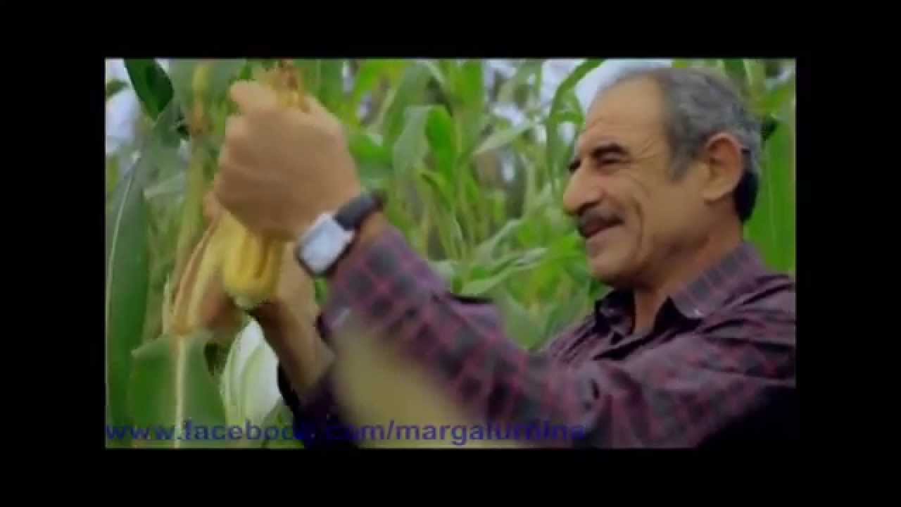 მეგრული რეკლამა Youtube