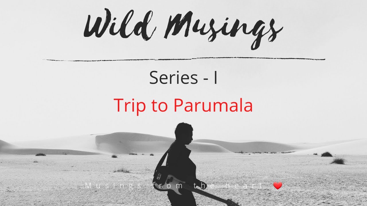 Trip to Parumala | Parumala Palli #WildMusings #ParumalaPalliPerunnal # ...