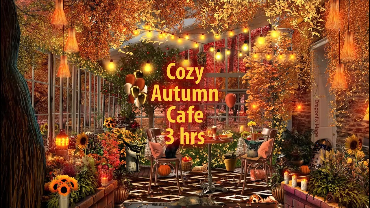 Cozy Autumn Cafe 3hr 🍂☕ ASMR Ambience (rain, thunder, purring ...