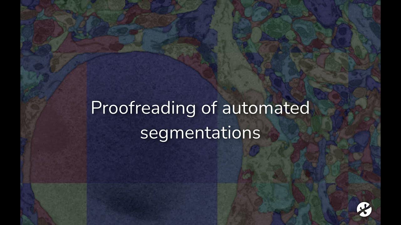 Proofreading of automated segmentations - YouTube