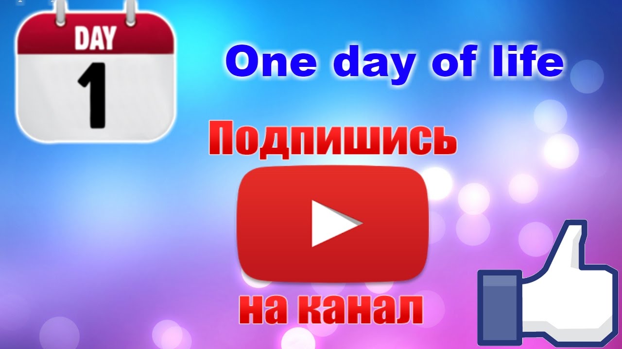 One day of life - YouTube