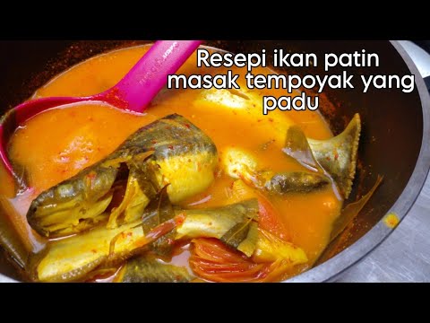 RESEPI PATIN MASAK TEMPOYAK PADU SUNGAI PAHANG BY KAKSYA RBS - YouTube