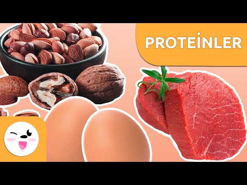 Proteinler nelerdir? Çocuklar için sağlıklı beslenme