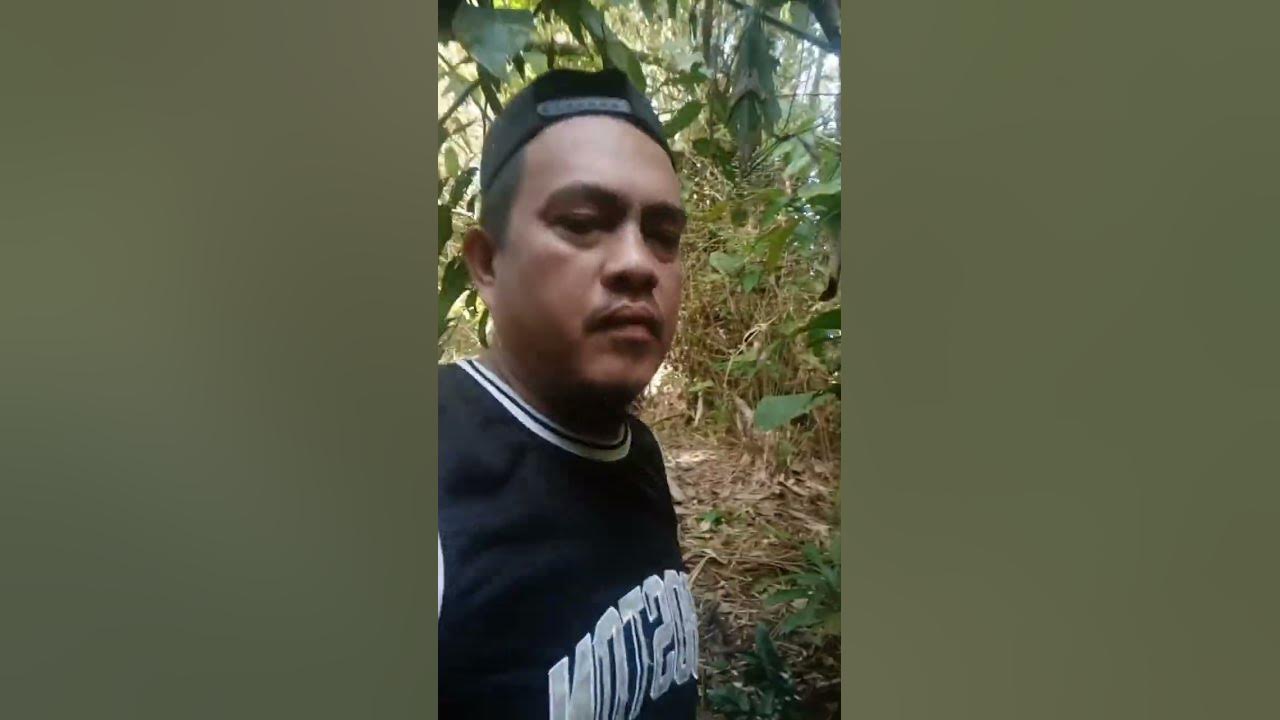 Naligaw kami sa Gubat may kakaibang halaman - YouTube