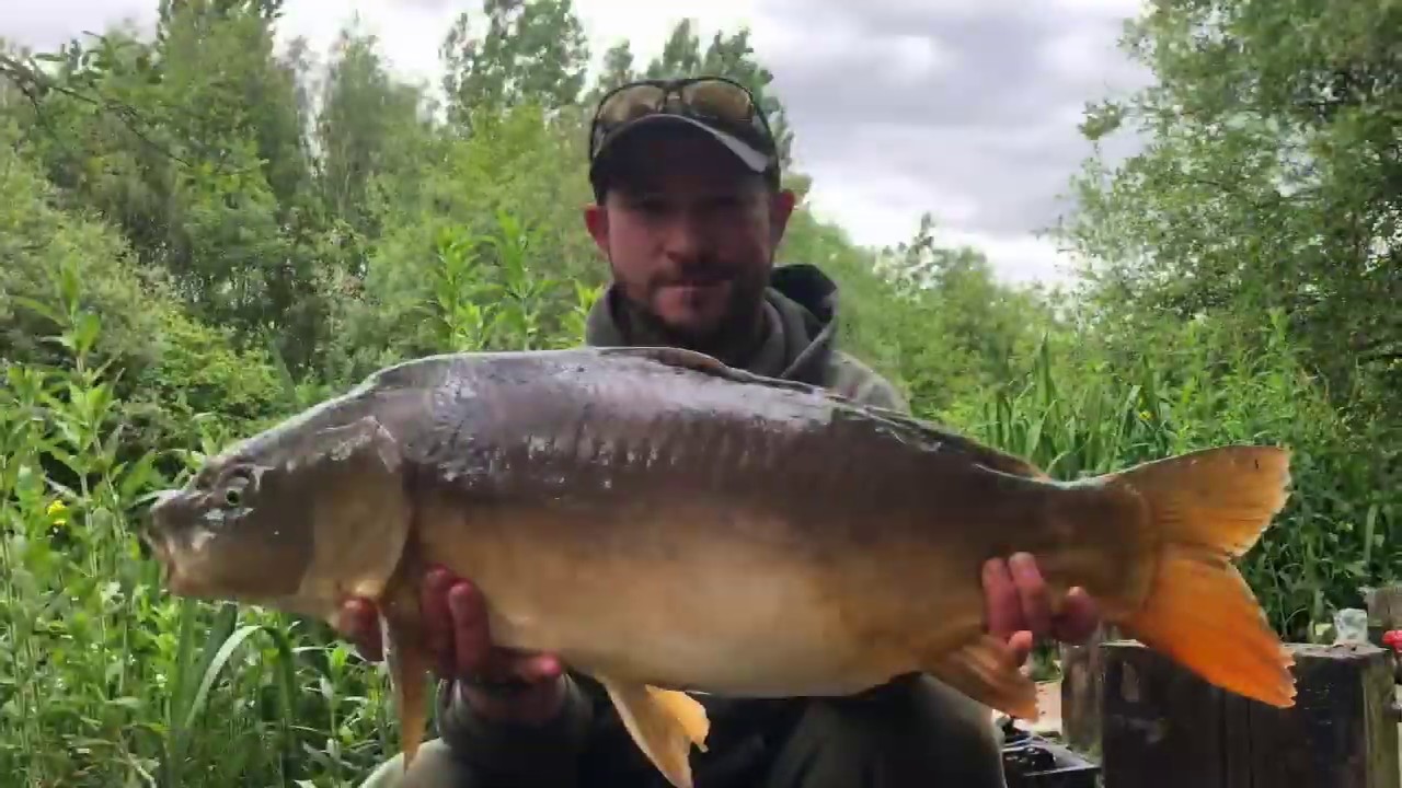 Carp fishing at Churchgate lakes members or middle lake - YouTube