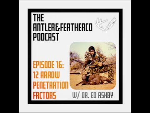 #16 - 12 Arrow Penetration Factors w/ Dr. Ed Ashby, Rob Hummel, Alex ...