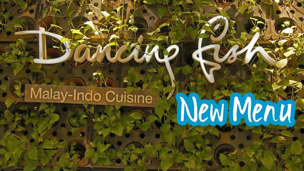 Dancing Fish New Menu | 跳舞鱼新菜单 - YouTube