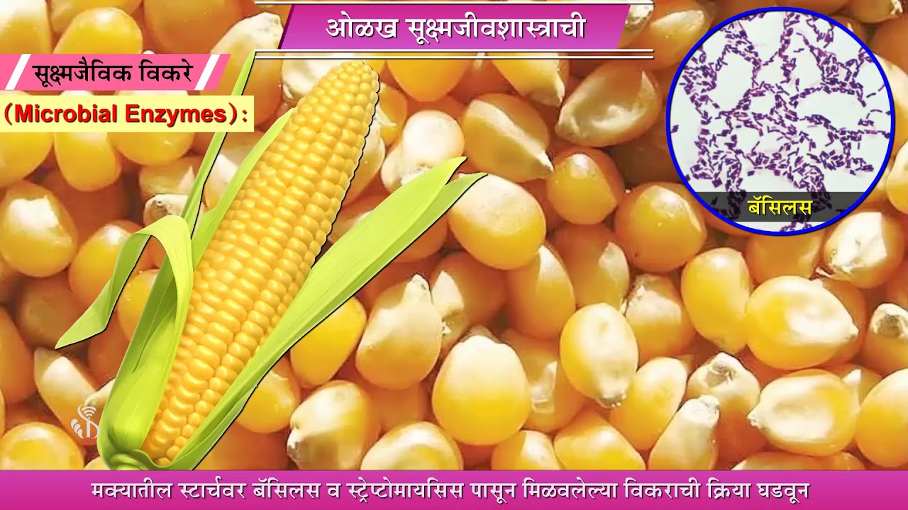 10th Science 2 | Chapter#07 | Topic#04 | पेयनिर्मिती | Marathi Medium ...