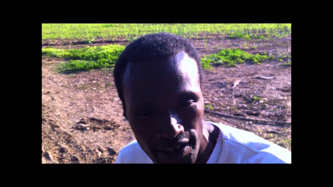 ethiopian best fukera - YouTube