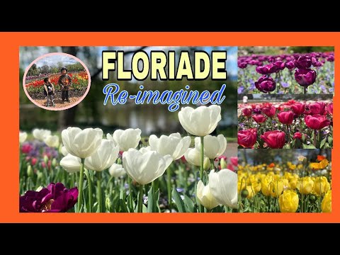 FLORIADE RE-IMAGINGED : CANBERRA'S SPRING FESTIVAL | OUR FIRST FLORIADE ...