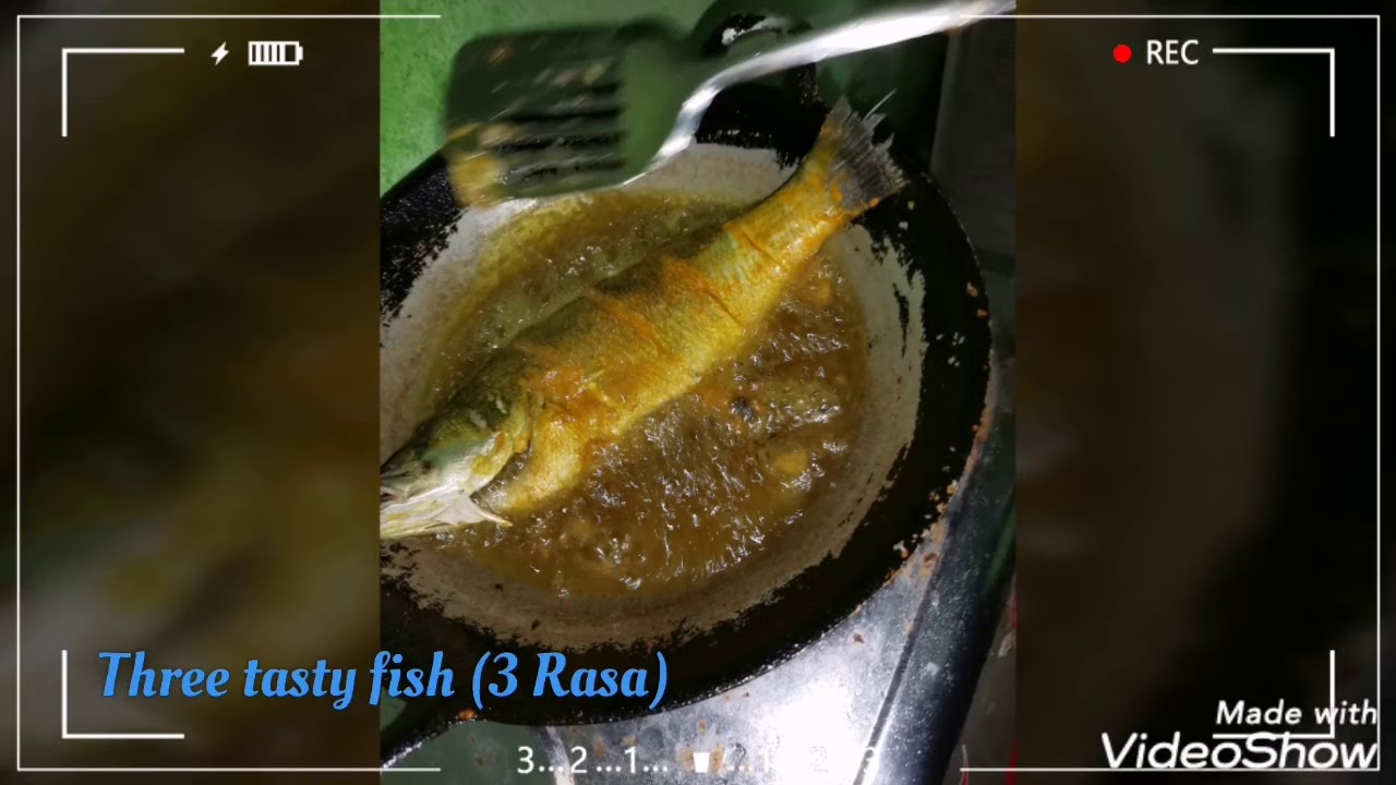 Three tasty fish ( 3 Rasa)/ IRJ Video’s - YouTube