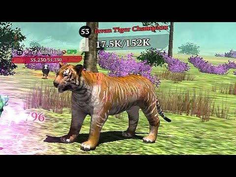 The Wolf - Javan Tiger Champion 🏆 - YouTube