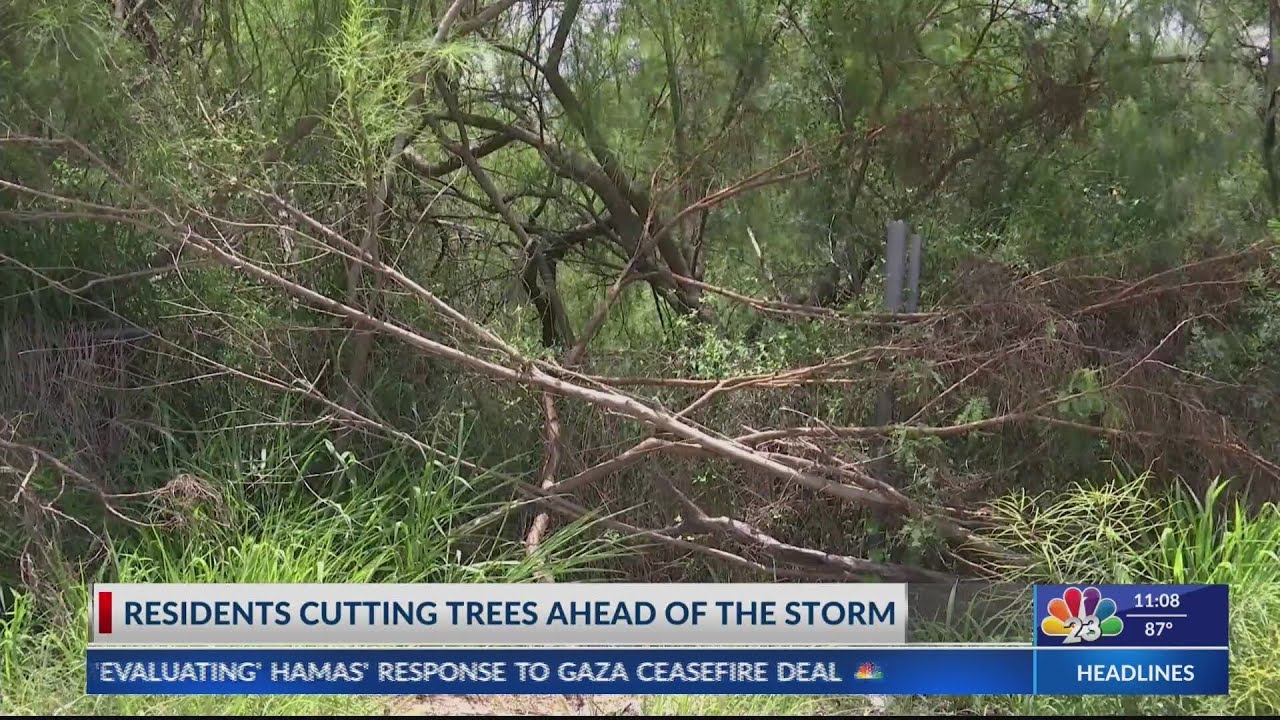 Residents cut their trees ahead of Hurricane Beryl impact - YouTube