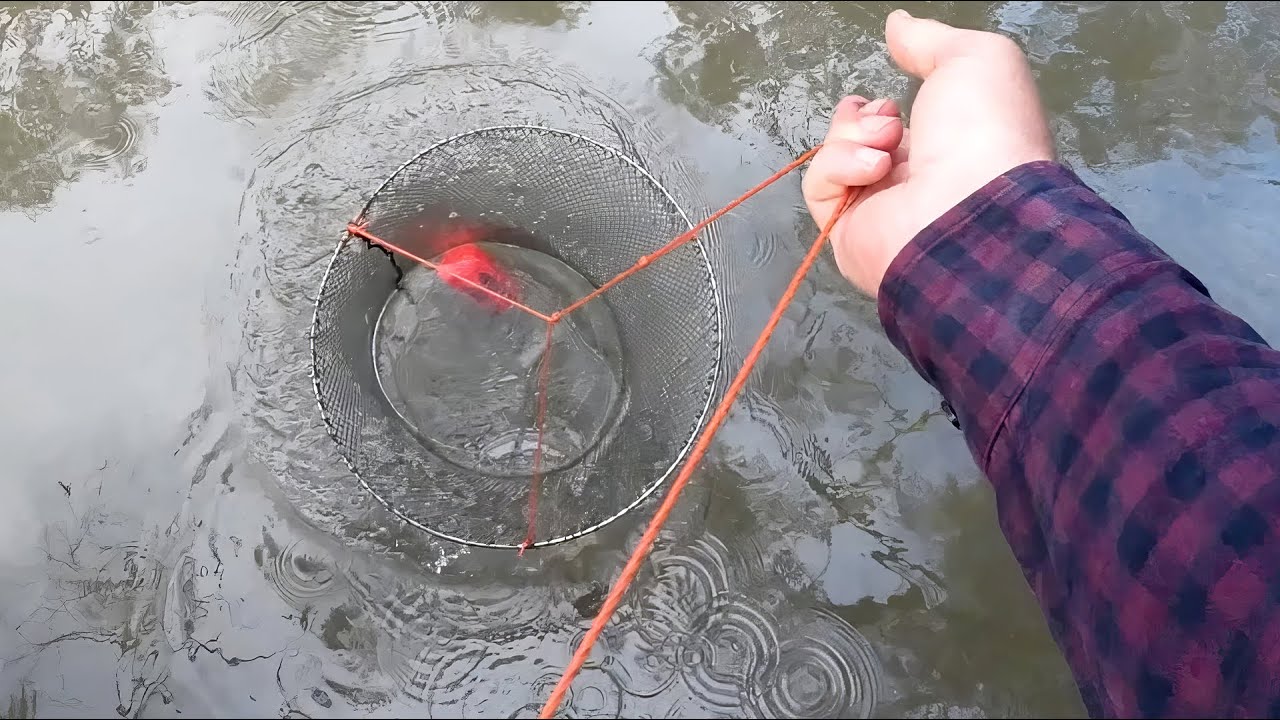 Fishing And Yabbying In Yanco Creek - YouTube