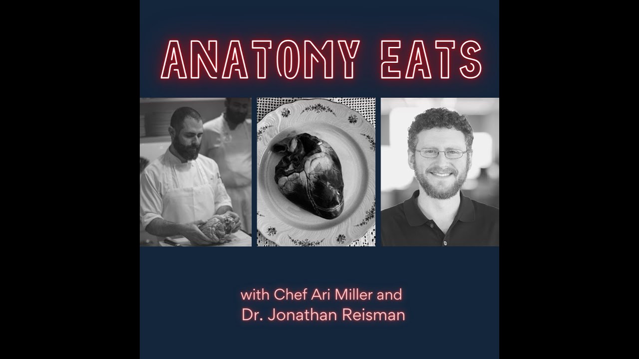 Anatomy Eats on PBS/WHYY -"You Oughta know" - YouTube