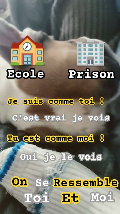 je suis comme toi ! #viralvideo #humour #foryou #music #school #memes # ...