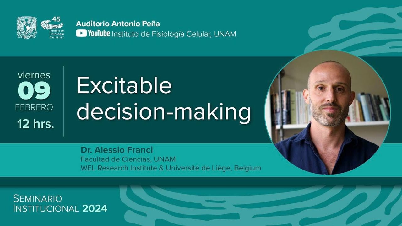Excitable decision-making - YouTube
