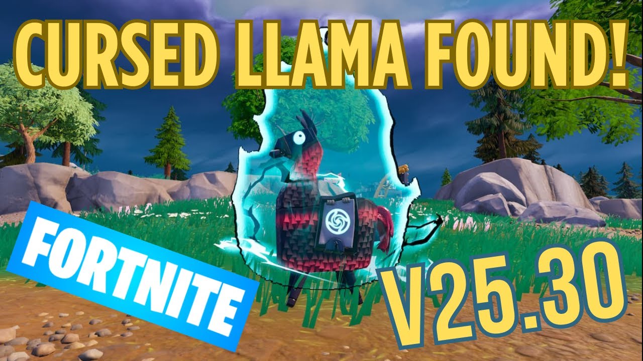 CURSED LLAMA FORTNITE GAMEPLAY UPDATE | All new items located | Jujutsu ...