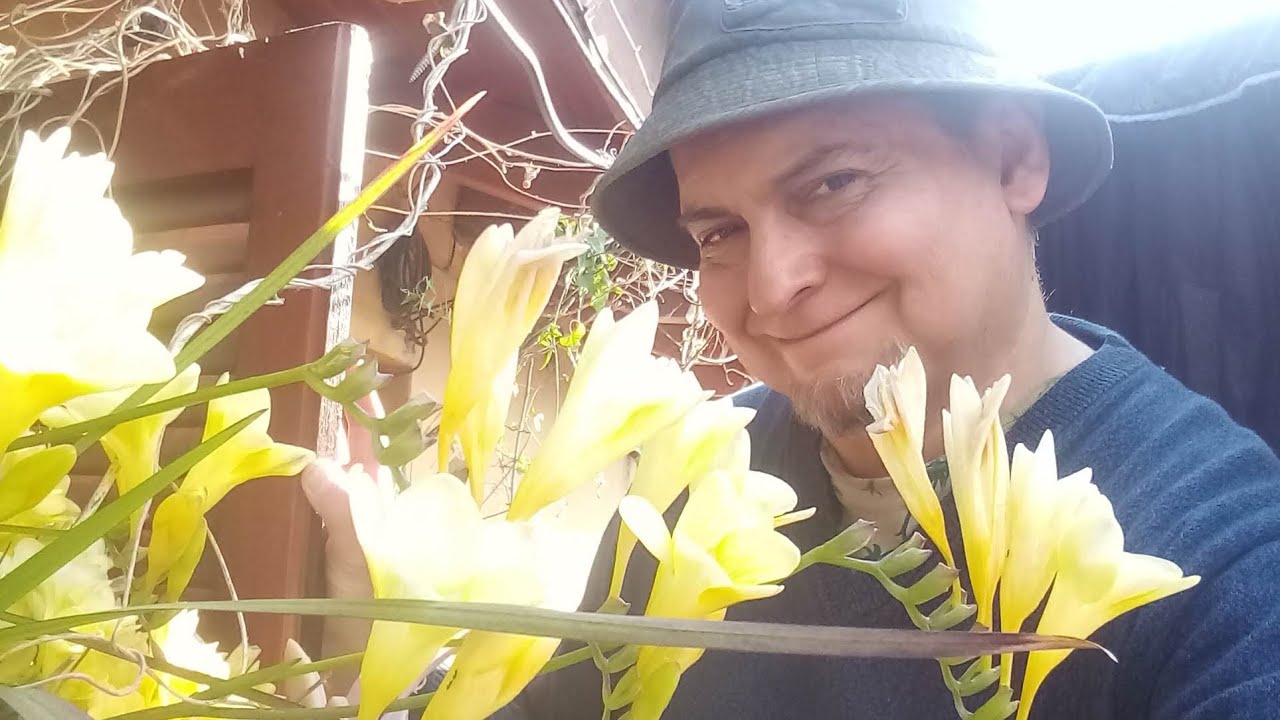 El milagro de ver nacer una flor#elpoderdelahora#kioskeroamigo# ...