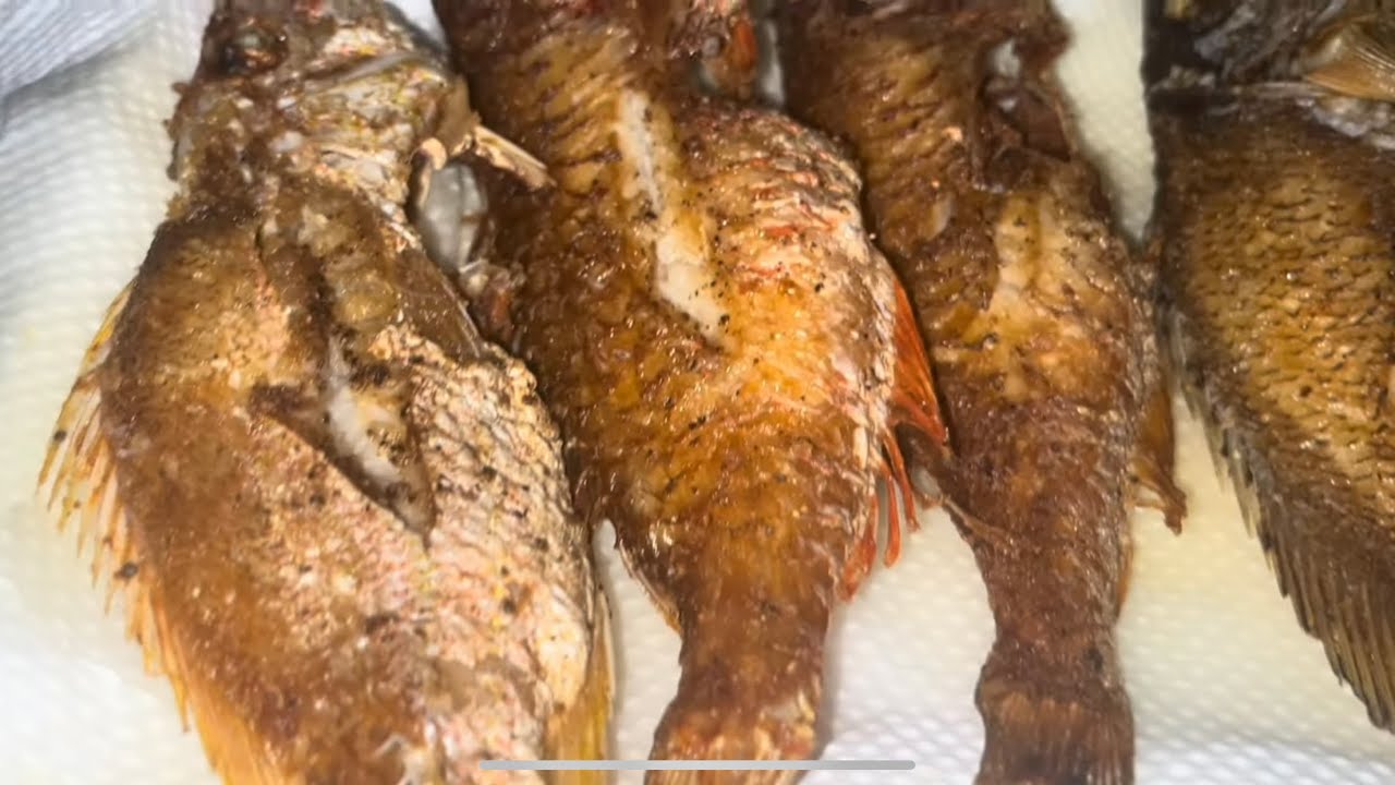 MOMMY FLARE HAD THIS TO SAY ABOUT MY FRY FISH WHILE WE GIVE YOU SOME ...