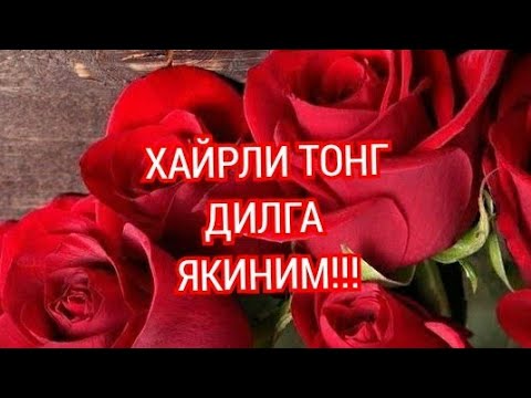 ХАЙРЛИ TOНГ/XAYRLI TONG/ЯНГИ КУН МУБОРАК🌹🌿
