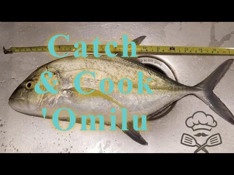 Catch & Cook Omilu - YouTube