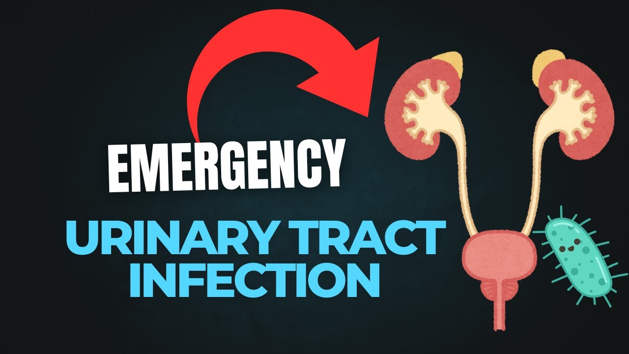 Urinary tract infection - YouTube