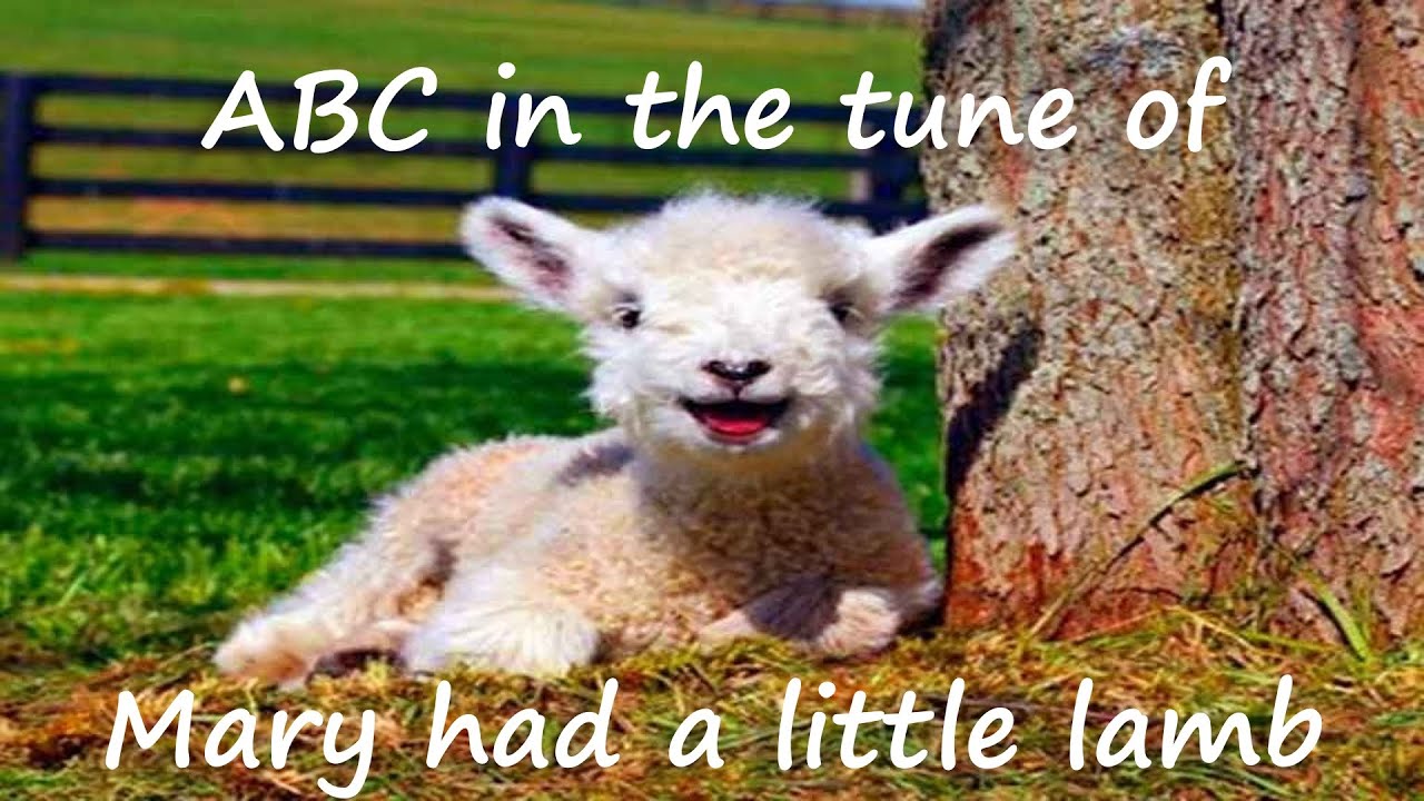 ABC song in the tune of Mary had a little lamb - YouTube
