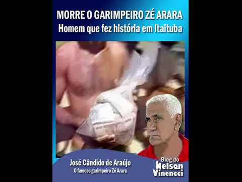 ZÉ ARARA BAMBURRADO NO GARIMPO