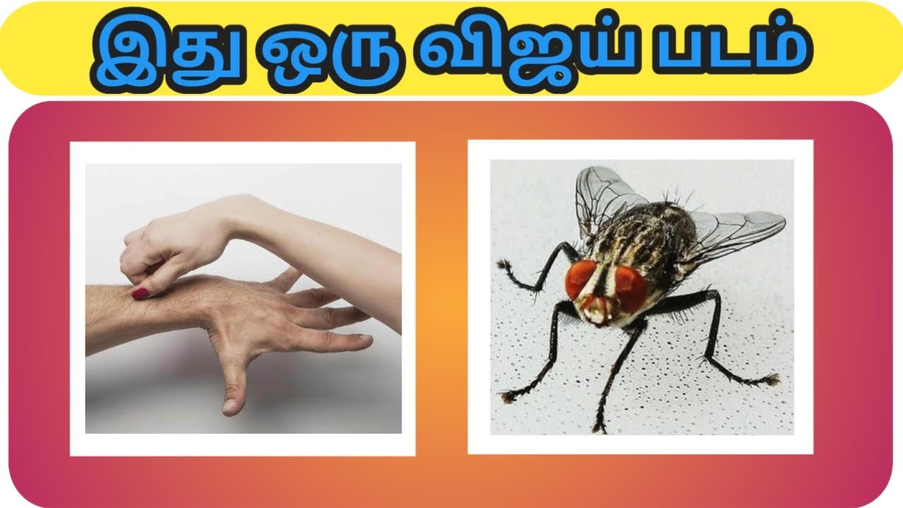 Guess the Vijay Movie | Connection game | Brain games | Riddles ...