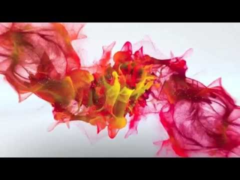 EFSANE presents: OZAN DOGULU - 5. April 2015 Union Halle Frankfurt