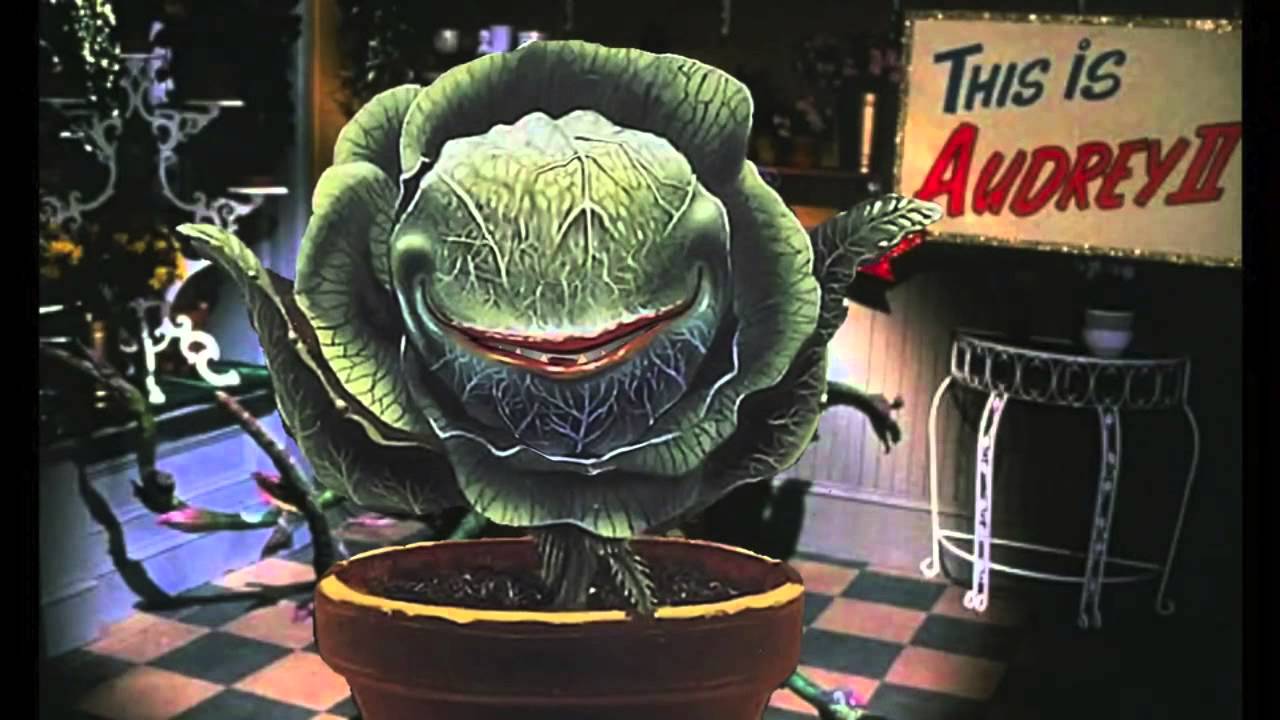 Paul Tyree - Mean Green Mother From Outer Space - Little Shop Of ...