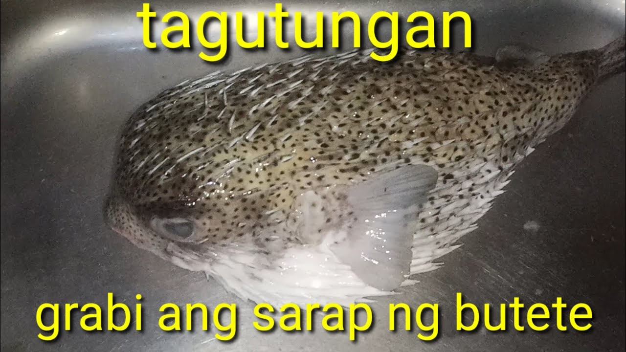 magloloto Tau ng butete or tagutungan.. - YouTube
