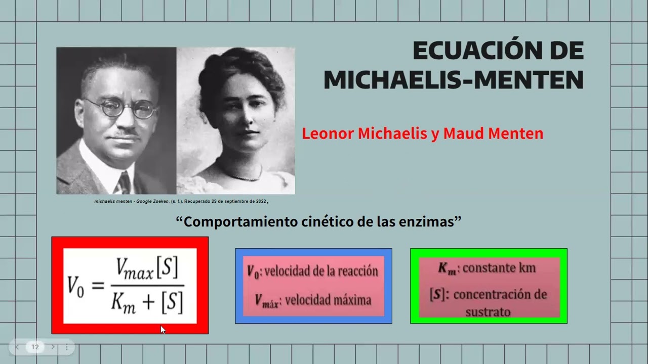 Cinetica enzimatica y Ecuacion de Michaelis Menten - YouTube
