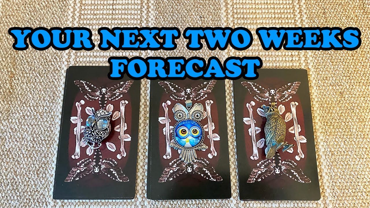 THE NEXT TWO WEEKS FORECAST. PICK A CARD - YouTube