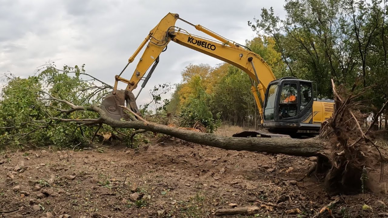 Pulling Trees Out Of A Fence With The 210! - YouTube