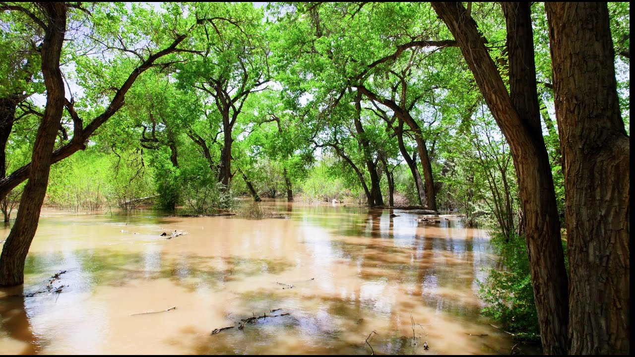 Los Lunas, New Mexico, Rio Grande Flooding - YouTube