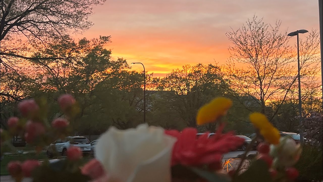 UIUC ASL 2: The Tortoise and The Hare - YouTube