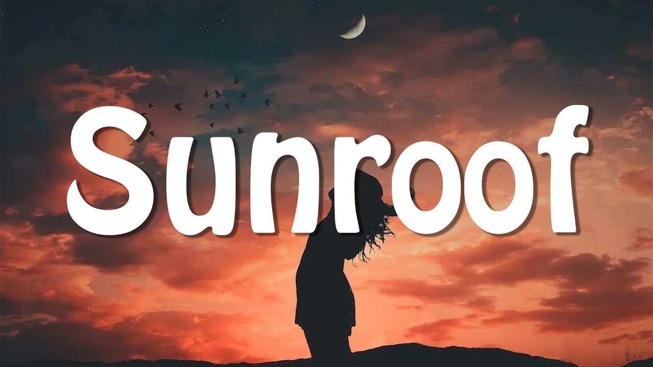 Nicky Youre, dazy - Sunroof (Lyrics) - YouTube